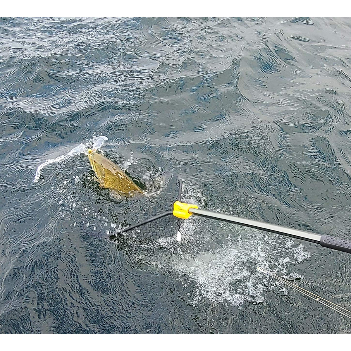 Frabill Conservation Telescoping Handle Net | Teardrop Hoop Size: 20" X 23" | Telescoping Handle: 35-60" | Netting: Tangle-Free Micromesh | Net Depth: 18"