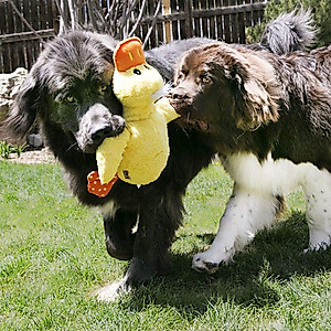 KONG Company 38748523: Comfort Duck Jumbo Dog Toy, XL, for All Breed Sizes