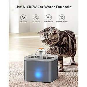 NICREW Cat Water Fountain, Ultra Quiet Cat Fountain with LED Light, 2L Capacity Pet Water Fountain with Filter, Automatic Drinking Water Dispenser for Cats and Dogs, Grey