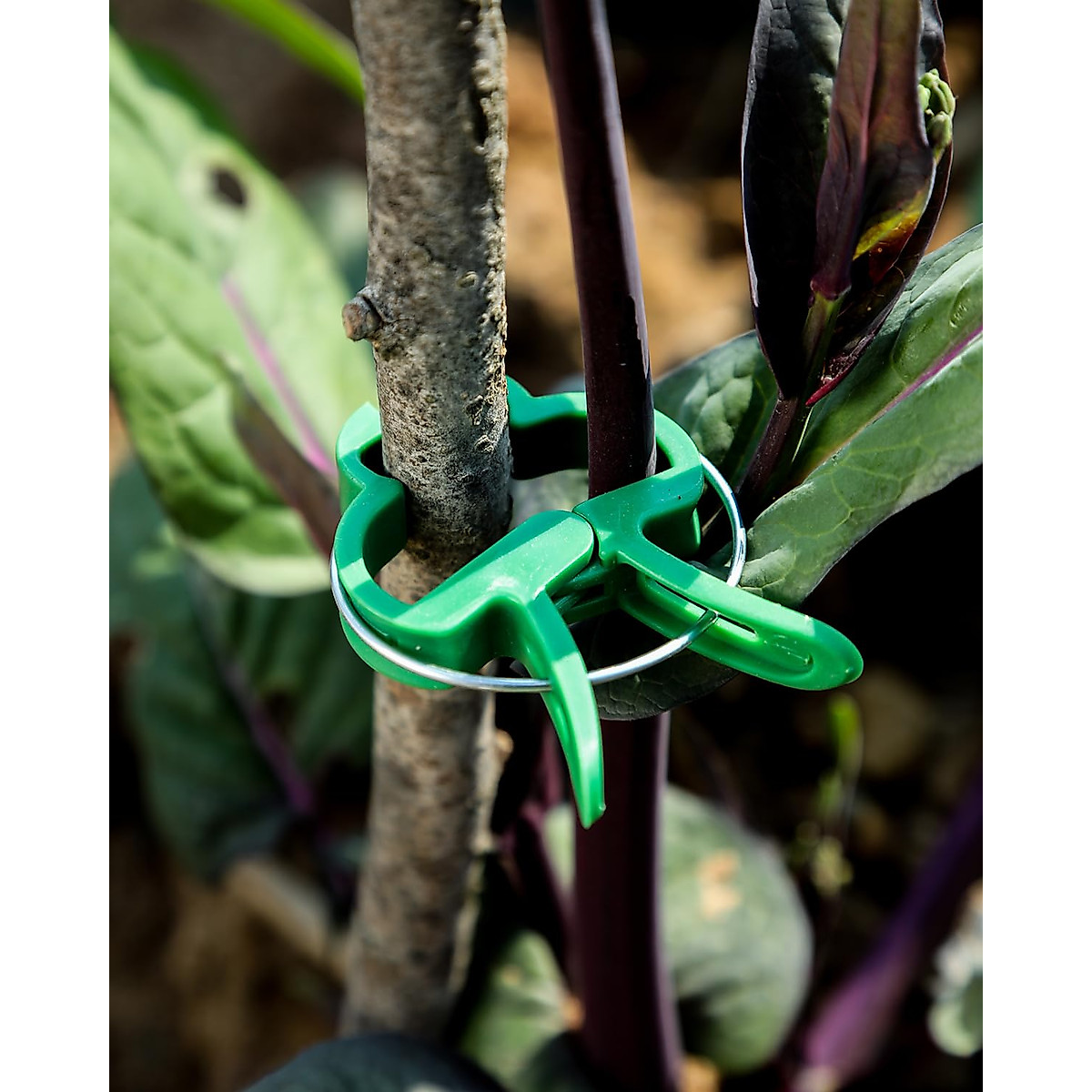 Plant Clips 80 Piece-Garden Clip Plant 2 Sizes Reusable Tomato Clip, Multipurpose Plant Vine Clips for Roses, Sturdy Cucumbers Orchid Clips Plant Support Adjustable Clips Green(30 Large + 50 Small)