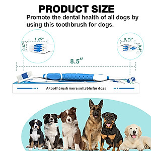 Leoezx™ Double Headed Pet Dog Toothbrush (Blue*2)，Original Design 12° Double-Headed Brush Head, Pet Toothbrush for Small and Large Dogs & Cats, Essential for Cleaning Teeth