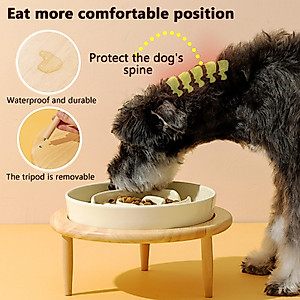 VEEKI Ceramic Slow Feeder Dog Bowls, Elevated Dog Food Bowls with Wood Stand, Dog Dishes to Slow Down Eating for Chokcing Bloating(Beige, 10.2in)