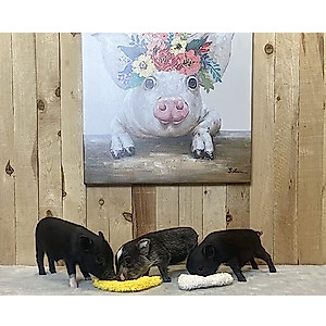 Chicken and Egg Crinkle Squeaker Pack Fun Durable Interactive Fetch Toys for Puppies Dogs Small Amimals