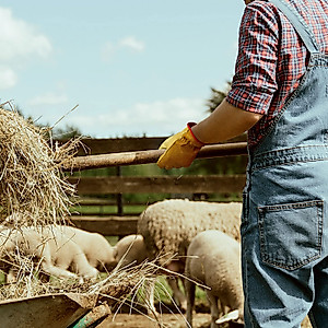 OZERO Leather Work Gloves Flex Grip Tough Cowhide Gardening Glove for Wood Cutting/Construction/Truck Driving/Garden/Yard Working for Men and Women 1 Pair (Gold,Small)