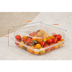 Golden Apple, Clear Plastic Square Hinged Food Container, 8" Length x 8" Width x 3" Depth, 20pieces