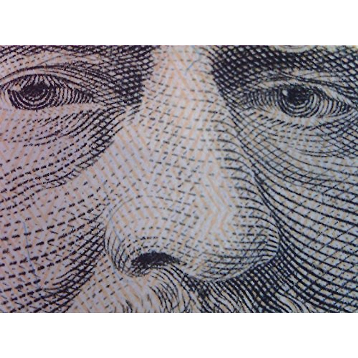 Opti-Tekscope Digital USB Microscope Camera- Advanced CMOS Sensor, True High Definition Macro 200x Zoom Imaging –1600 x 1200, Video, Flexible Acrylic Stand, 8 LED, Windows Mac Linux