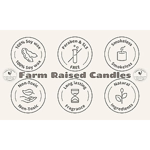 Halloween Fall Wax Melts 16 Ounces Made in America. Halloween Wax Warmer Melts - Farm Raised Candles - 5 Pack - 30 Cubes - Candy Corn, Trick or Treat Haunted Mansion Wax Melts