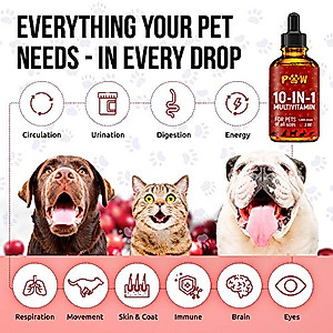 10 In 1 Cat & Dog Multivitamin - Hip & Joint Vitamins For Dogs + Vitamins C, D, B1-12 - Cranberry Supplement For Dogs & Cat Vitamins - Bladder, Kidney, Skin, Joint Support - Glucosamine Dog Supplement