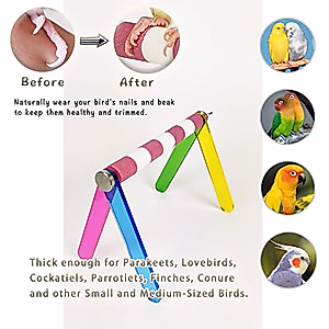 Parrot Play Stand Portable Bird Training Perch Rough-surfaced Corundum and Stainless Steel 8" (Red)