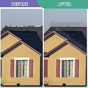 XPCARE 50.4 Feet Bird Spikes, Stainless Steel Bird Spikes Fence Spikes for Crow Robin Pigeon Squirrel Raccoon Defender Spikes (48 Packs Uninstalled)