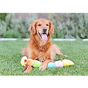 ZippyPaws - Colorful Caterpillar Dog Toy, Rainbow Dog Toy with Squeakers, Plush Dog Toys for Aggressive Chewers, Summer Dog Toys, Rainbow Dog Pride Accessories