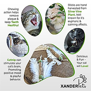 XanderPets Cat Chew Stick - Matatabi Stick for Cat - Silvervine Chew Sticks for Cats - Cat Dental Sticks w/Cat Nips Organic - All Breeds 3PK