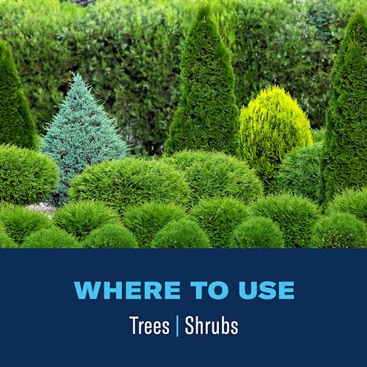 BioAdvanced Tree & Shrub Insect Killer, Ready-to-Spray, 32 oz