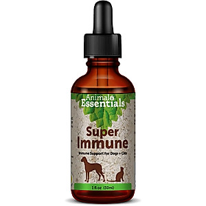 Animal Essentials Super Immune for Dogs & Cats - Immune System Support Supplement, Echinacea, Eleuthero, Olive Leaf Extract, Liquid Drops - 1 Fl Oz