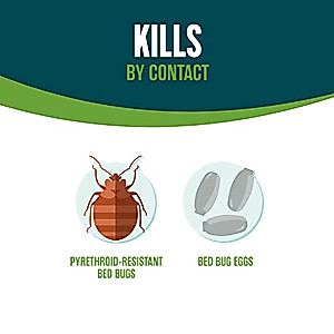 EcoLogic Bed Bug Killer, Case Pack of 12