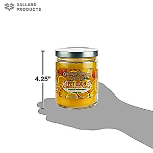 Pet Odor Exterminator Scented Candle Orange Lemon Splash - Pack of 2 - Odor Eliminating Candle Bundle with Ballard Products Car Air Freshener