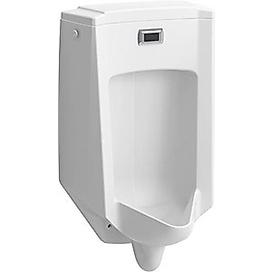 Kohler 2590-0 Bardon Urinal, White