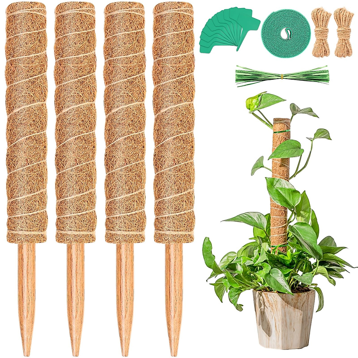 Moss Pole for Plants, 4 Pack Moss Poles for Climbing Plants, Monstera Coir Totem Pole, 15.8 Inch Moss Sticks for Plant Support, Indoor Potted Plants Train Creeper Plants Grow Upwards