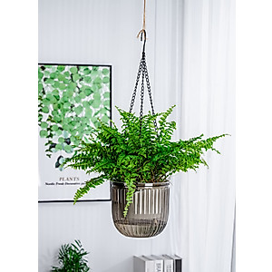 Josteve 6.5 Inch 2 Pcs Self Watering Hanging Planter Indoor Plant Pots Drainage Holes, Outdoor Hanging Planters Flower Pot Basket, Visible Water Level, Plant Hanger Home Decor, Gardening