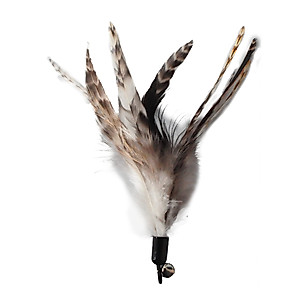 EcoCity Cat Toys - No Chemical Dyeing Cat Feather Toys for Indoor Cats - Include Cat Wand and Natural Feather Refills