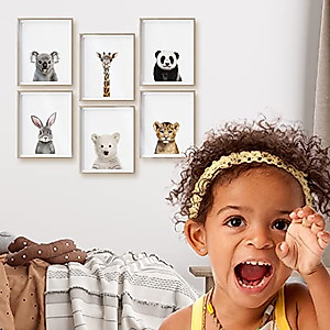 Designs by Maria Inc. Animal Posters | Baby Nursery Decor | Baby Room Pictures Art | Cute Animal Pictures | Set of 6 UNFRAMED Wall Prints | Boy & Girl Baby Room Wall Decor Animal Print (8"x10")