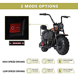 Oryxearth Electric Mini Dirt Bike 1000W 36V Battery Motor 15.5MPH/22 MPH 2 Speeds Electric Motorcycle for Kids Over 13 with 2 Hanging Bags, Up to 18LBS