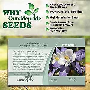 Outsidepride Aquilegia Columbine Blue Star Garden Flower Plant Seeds - 1000 Seeds