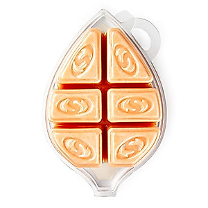 Shortie's Candle Company Autumn Splendor Natural Soy Wax Melts - 1 Highly Scented 3 Oz. Bar - Made with 100% Soy and Essential Fragrance Oils - Phthalate & Paraffin Free, Vegan, Non-Toxic