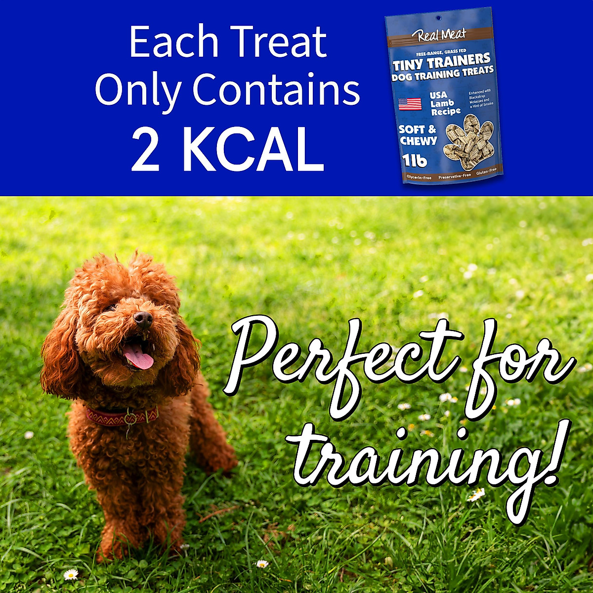 Real Meat Tiny Trainer Bites Dog Treats - 1lb of USA-Made Soft & Chewy Air-Dried Lamb Training Treats for Dogs & Puppies - All-Natural Grain-Free Dog Training Treats with Free-Range Grass-Fed Lamb