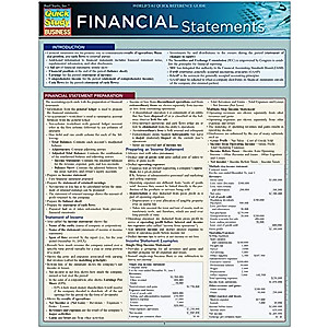 Financial Statements QuickStudy Laminated Reference Guide (QuickStudy Business)