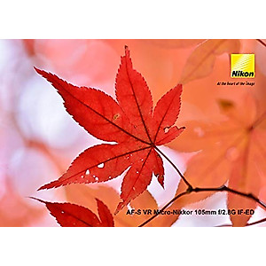 Nikon AF-S VR Micro-NIKKOR 105mm f/2.8G IF-ED Lens (Renewed)