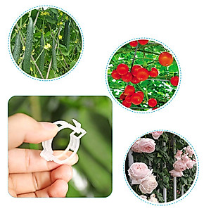 KAMILLEE Plant Support Clips, 100pcs Plastic Garden Plant Support Clips Tomato Clips,Trellis Clips for Flower Tomato Vine Vegetables (White)