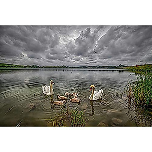 JINTU 420-1600mm 800mm f/8.3 Manual Zoom Telephoto Lens + T-Mount for Canon EOS DSLR Cameras 4000D 2000D 1200D T7 T7i T6 T6i T5 T5i SL2 80D 77D 700D 70D 60D 50D 5D 6D 7D 600D 550D White