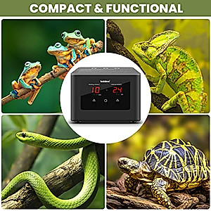 briidea Reptile Misting System, Terrarium Mister with 2 Power Supply Ways, Automatic Humidifiers with Adjustable Spray Nozzles for Reptiles Plants Amphibians Herps