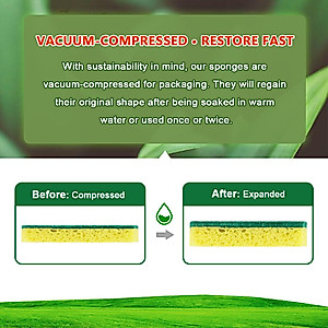 ORIGHTY Heavy Duty Cellulose Scrub Sponges Kitchen, Powerful Scrubbing & Cleaning, Suitable for Washing Dishes and Kitchen Cleaning, Absorbent & Rich Foam, 24 Count