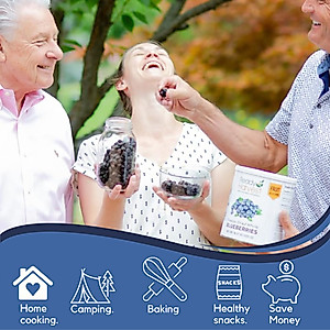 Ready Harvest Freeze-dried Blueberries | Blueberries Freeze-dried Fruit Snacks | Healthy Snacks Trail Mix | Camping food, School Snacks or Emergency Food Supply 30 Years | #10 Can