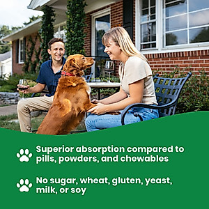 Vegetarian Glucosamine for Dogs - Vegetarian Glucosamine Without Shellfish - Msm Supplement for Pain - Vet Recommended Glucosamine Vegetarian - Arthritis Medicine & Glucosamine with Msm (16 oz)