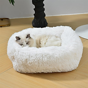 Gavenia Cat Bed for Indoor Cats,22 inch Soft Long Plush Cushion Washable Pet Bed Calming Self-Warming Square Cat and Dog Bed Anti-Slip & Waterproof Bottom Cushion (22 x 18 x 7 inch, White)…