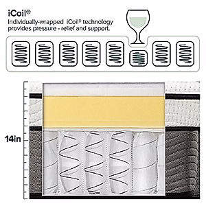 Zinus 14 Inch Support Plus Pocket Spring Hybrid Mattress/Extra Firm Feel/Heavier Coils for Durable /Pocket Innersprings for Motion Isolation,in-a-Box, Queen