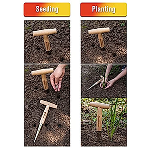 RainboWiner Garden Hand Dibber with Measurements, Bulb Planter Tool - 11 Inch Wooden Handle Stainless Steel Handheld Gardening Dibbler for Garlic Tulip Daffodil Vegetable Seed Planting