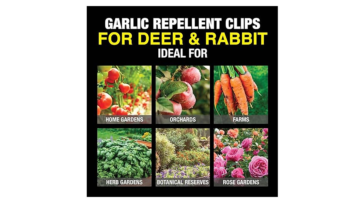 The Giant Destroyer 700 Garlic Deer & Rabbit Repellent, 12 Clips, Green ...
