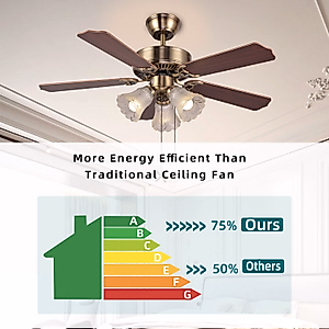 TWLITE 42 Inch Indoor Ceiling Fan with Pull-chain and Three LED Light Bulbs Base, Traditional 3-Speeds Reversible Blades Ceiling Fan (Antique)