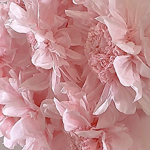 Colors of Rainbow Gift Wrapping Tissue Paper (48 Sheets, 20 Inch x 14.5 Inch) for Gift Baskets, Gift Bags, Packing, Craft, Moving, Baby & Bridal Shower, Wedding, Office Supplies (Blush Light Pink)