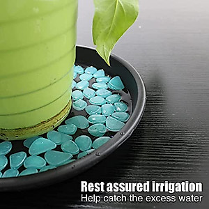 Lechay Black Plant Saucer for Indoors,3 Pack 12inch Plastic Flower Plant Pot Saucer, Plastic Plant Saucer Drip Trays for Indoor and Outdoor Plants(3)