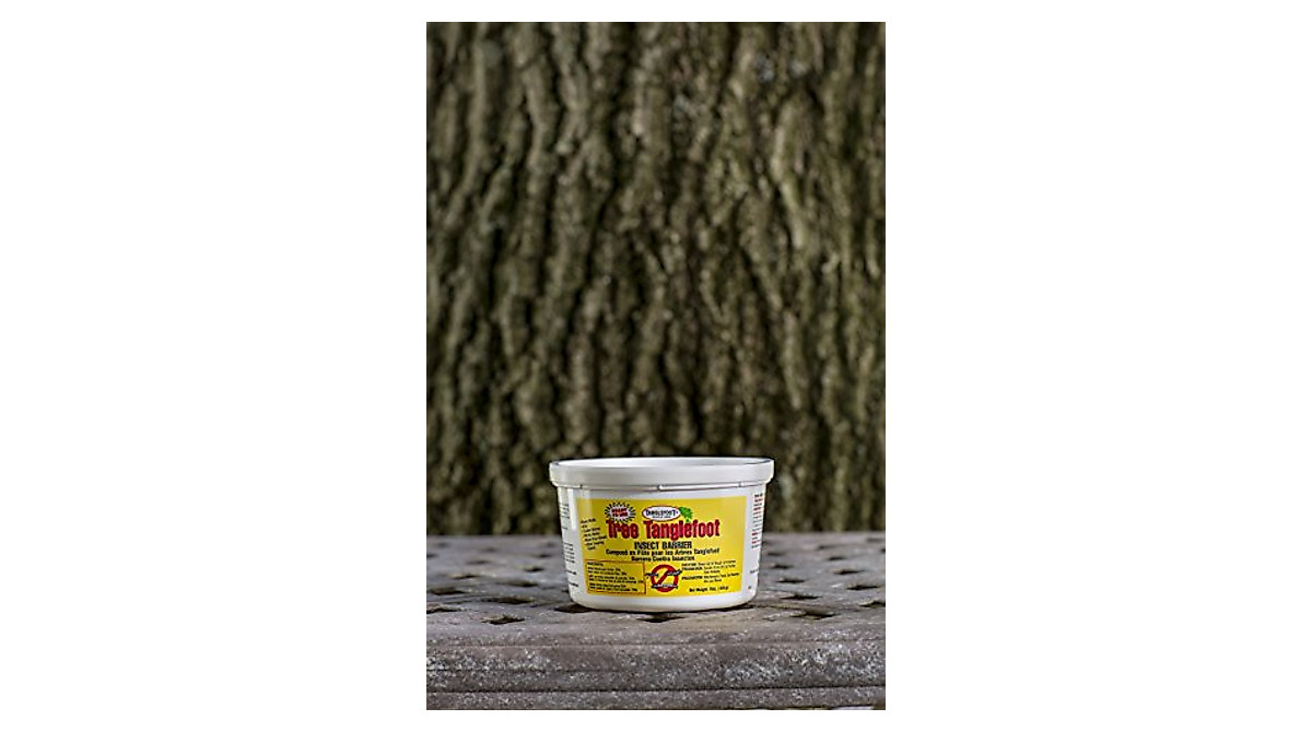 Tanglefoot Insect Barrier - 15 oz. Sticky Solution