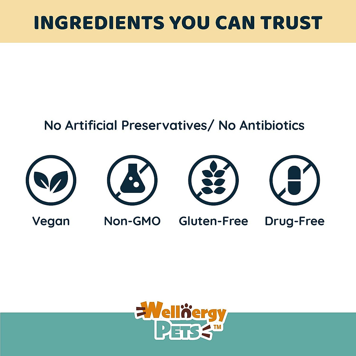 Holistic All-Natural Herb Formula Skin & Coat Support for Dogs & Cats - Aid for Dry, Flaky, Itchy Skin, Hot Spot, Allergies. Provides Anti-Itch, Anti-inflammatory Relief - WellnergyPets Coat Care 60ct