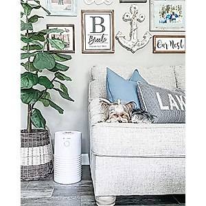 GermGuardian Air Purifier with HEPA Filter, UV Sanitizer and Odor Reduction, White, 15" Tower