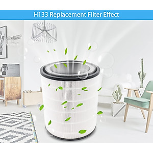 NXBHG Lv-H133 Replacement Filter Only Compatible with LEVOIT LV-H133 Air Purifier, H13 Grade True HEPA Filter and Activated Carbon Filter Set, LV-H133-RF, 2 Pack