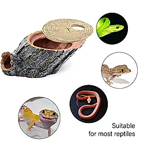 Snake Hide and Basking Tree Roots Cave for Terrariums, Available for Climbing and Hiding Spots for Reptiles, Amphibians, and Small Animals, Corn Snake, Green Snake and Small Gecko