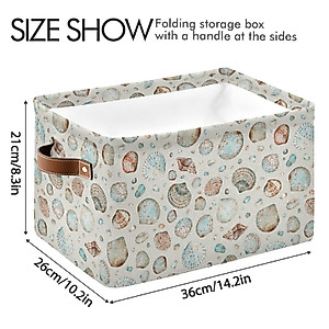 xigua Beautiful Shells Foldable Canvas Storage Bin, Sturdy Fabric Storage Basket with Handles, Storage Cube Box for Organizing Shelf Nursery Toy Closet 1PCS#869